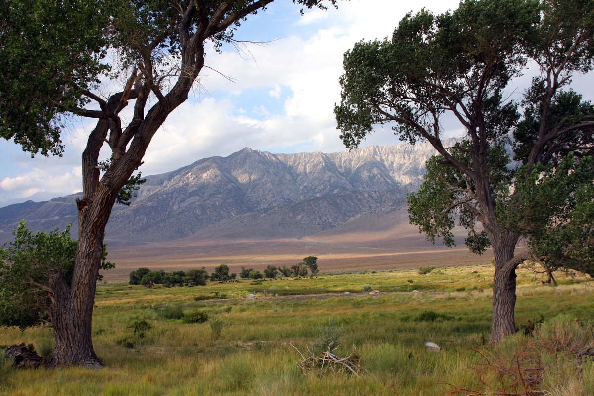 Rates Lone Pine Pheasant Club